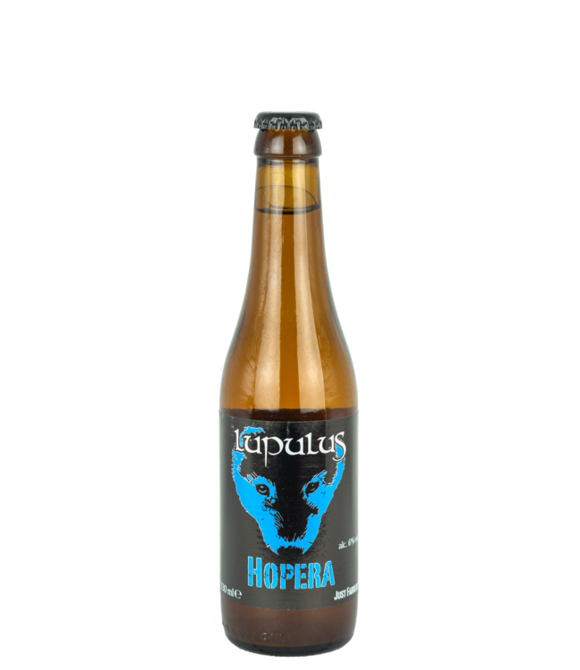 Ciney Blond - 25cl - Koop bier online - Belgian Beer Factory