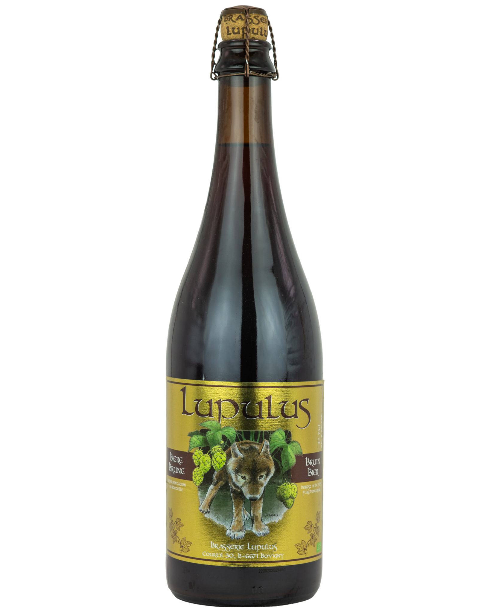 Lupulus Bruin - 75cl - Koop bier online - Belgian Beer Factory