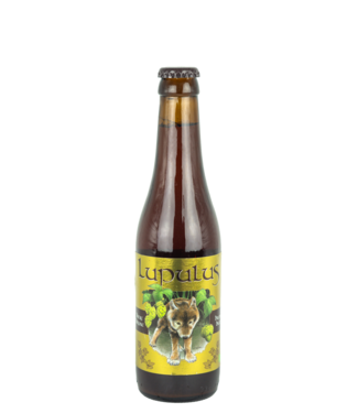 Lupulus bier - Order beer online - Belgian Beer Factory