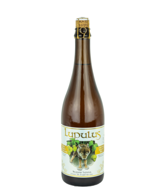 Lupulus bier - Order beer online - Belgian Beer Factory