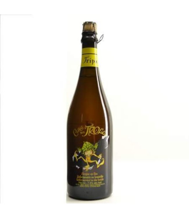 Cuvee des Trolls - 75cl - Buy beer online - Belgian Beer Factory
