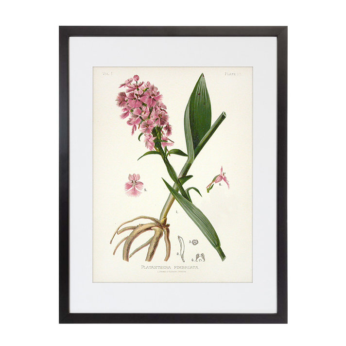 Wissellijsten hout en fotolijsten hout - De Lijstenfabriek B.V.