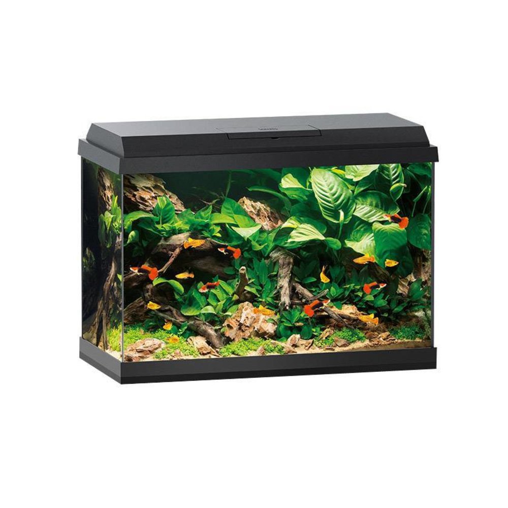 Juwel Primo 60 LED | Nieuwe model aquaria - AquastoreXL