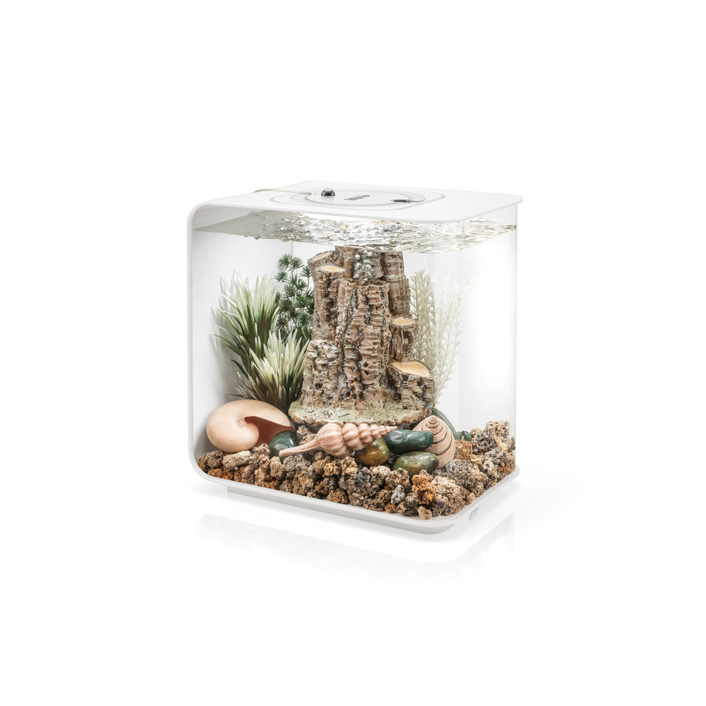 BiOrb Forest Rythym decor set | alles-in-één decor set - AquastoreXL