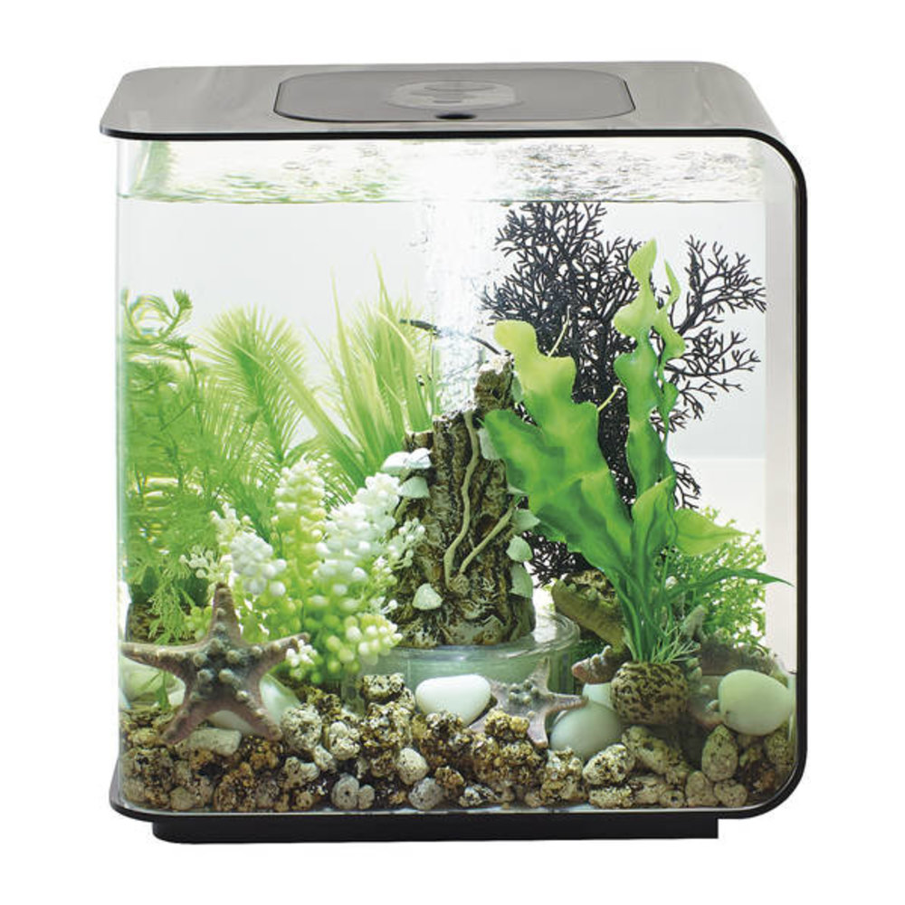 biOrb Flow 15 LED Zwart - Showmodel - AquastoreXL