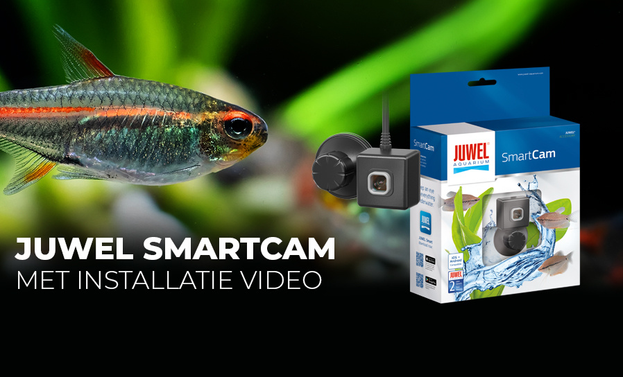 Vlog: Unboxing en uitleg Juwel Smartcam - AquastoreXL