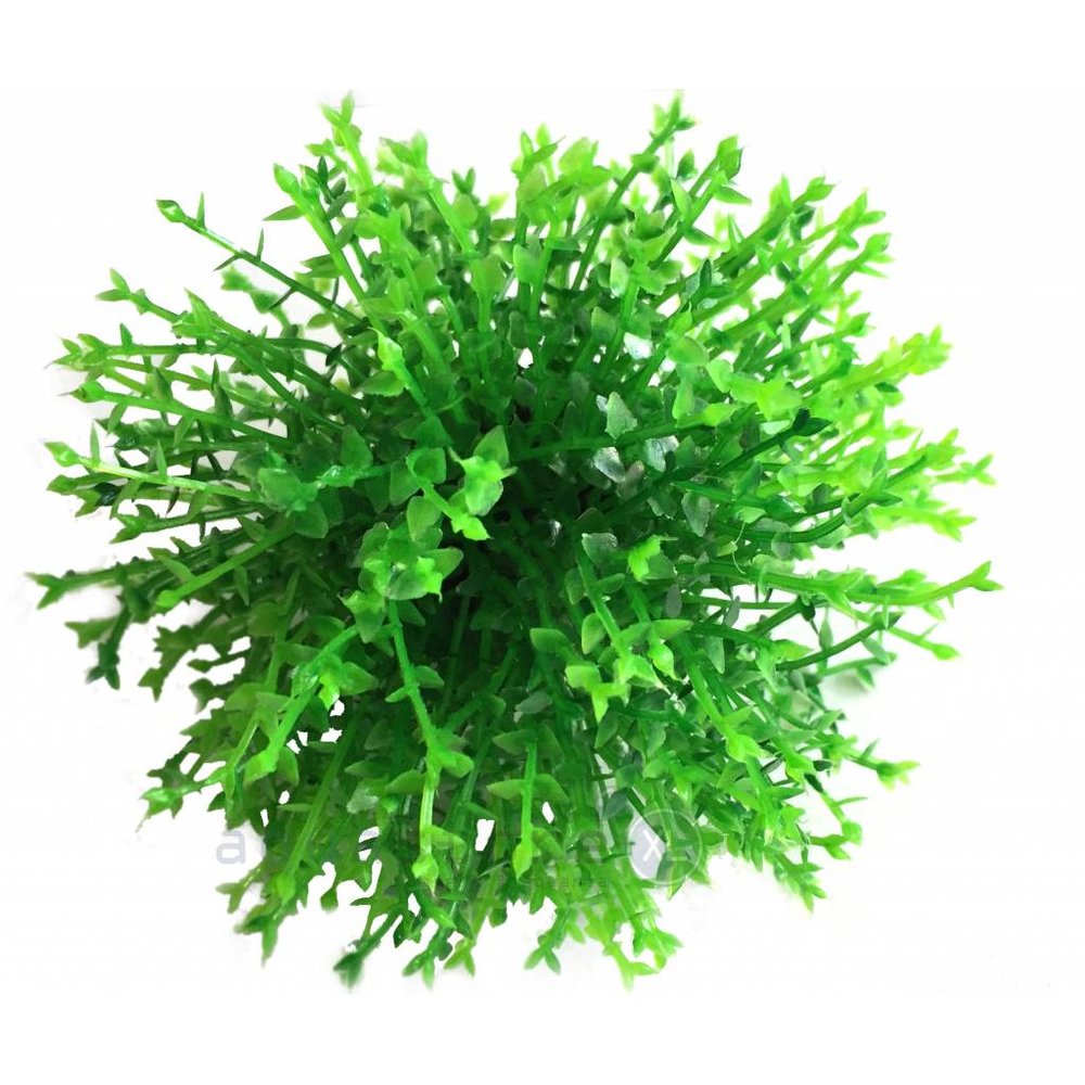 Green topiary ball - AquastoreXL