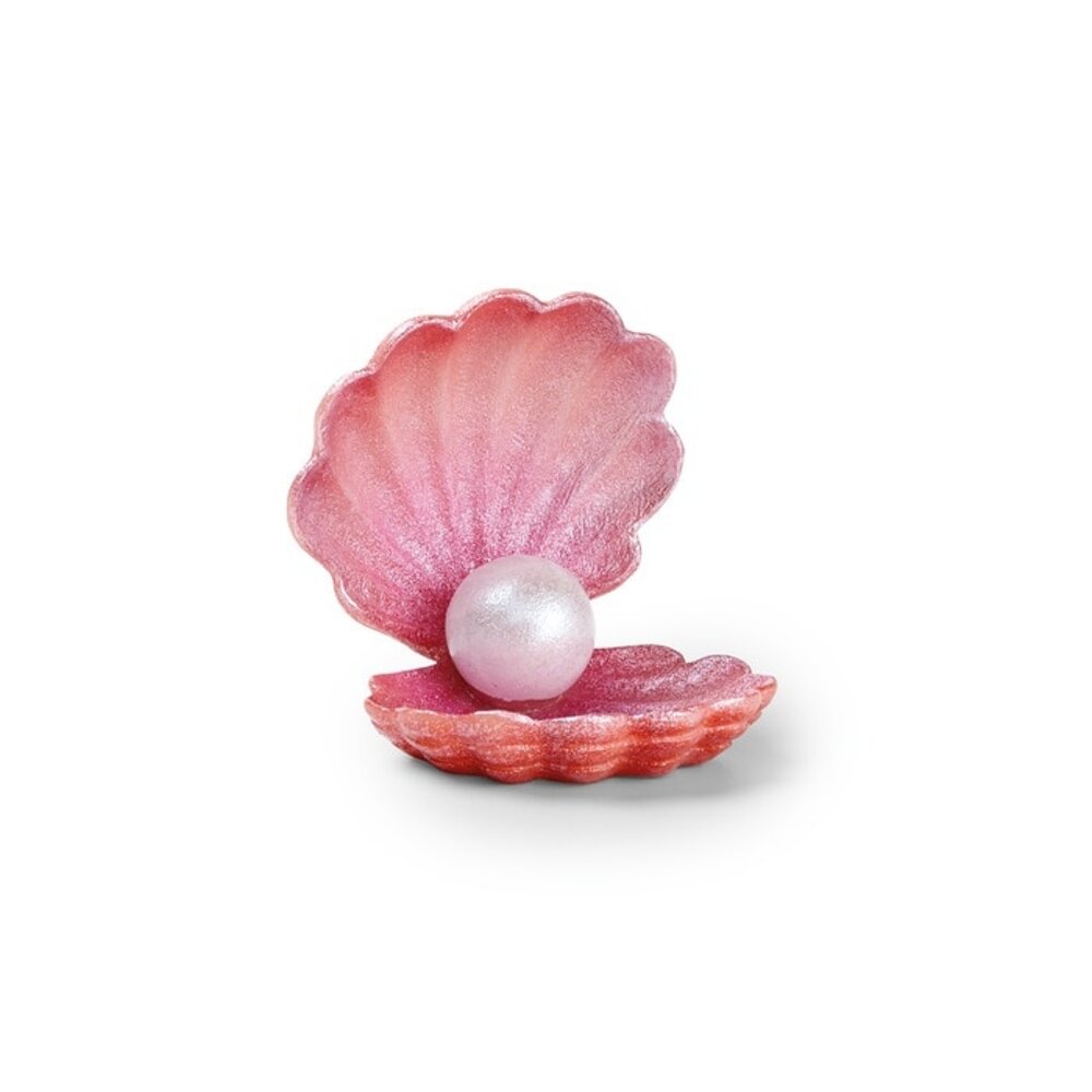 Schelp Decoratie Ornament - AquastoreXL