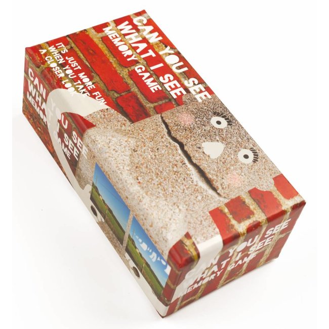 BIS Publishers | Collage Memory Game - BIS Publishers