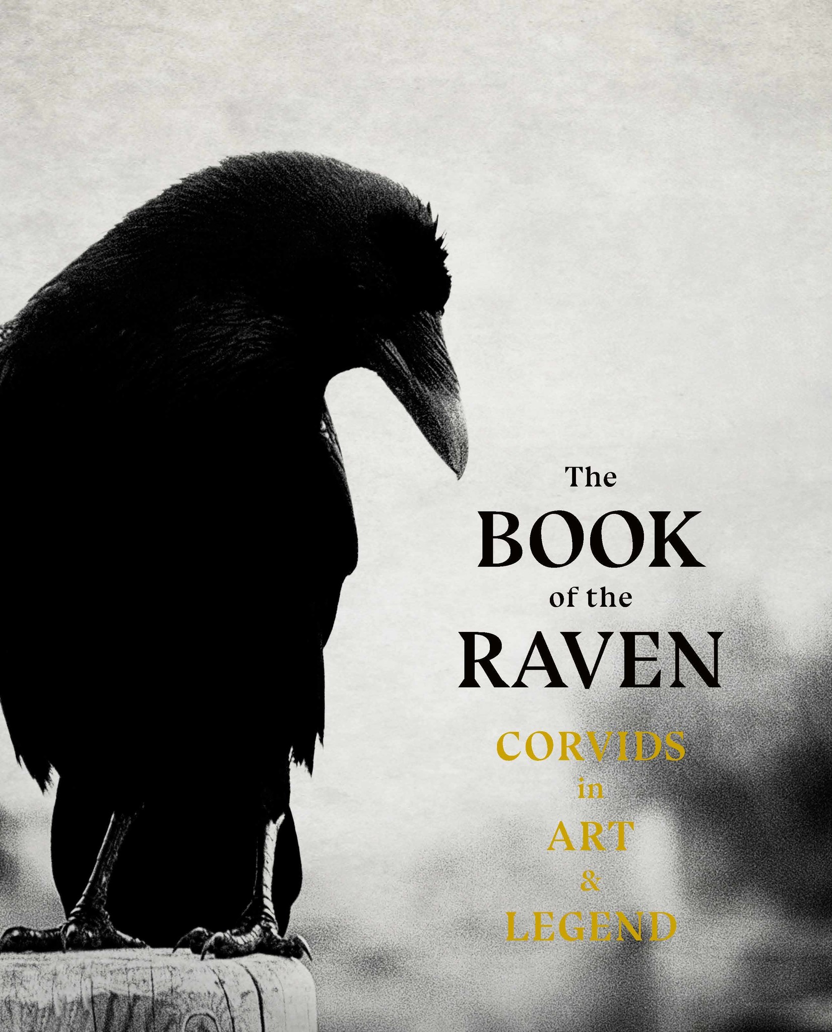 Laurence King Publishing | The Book of the Raven - BIS