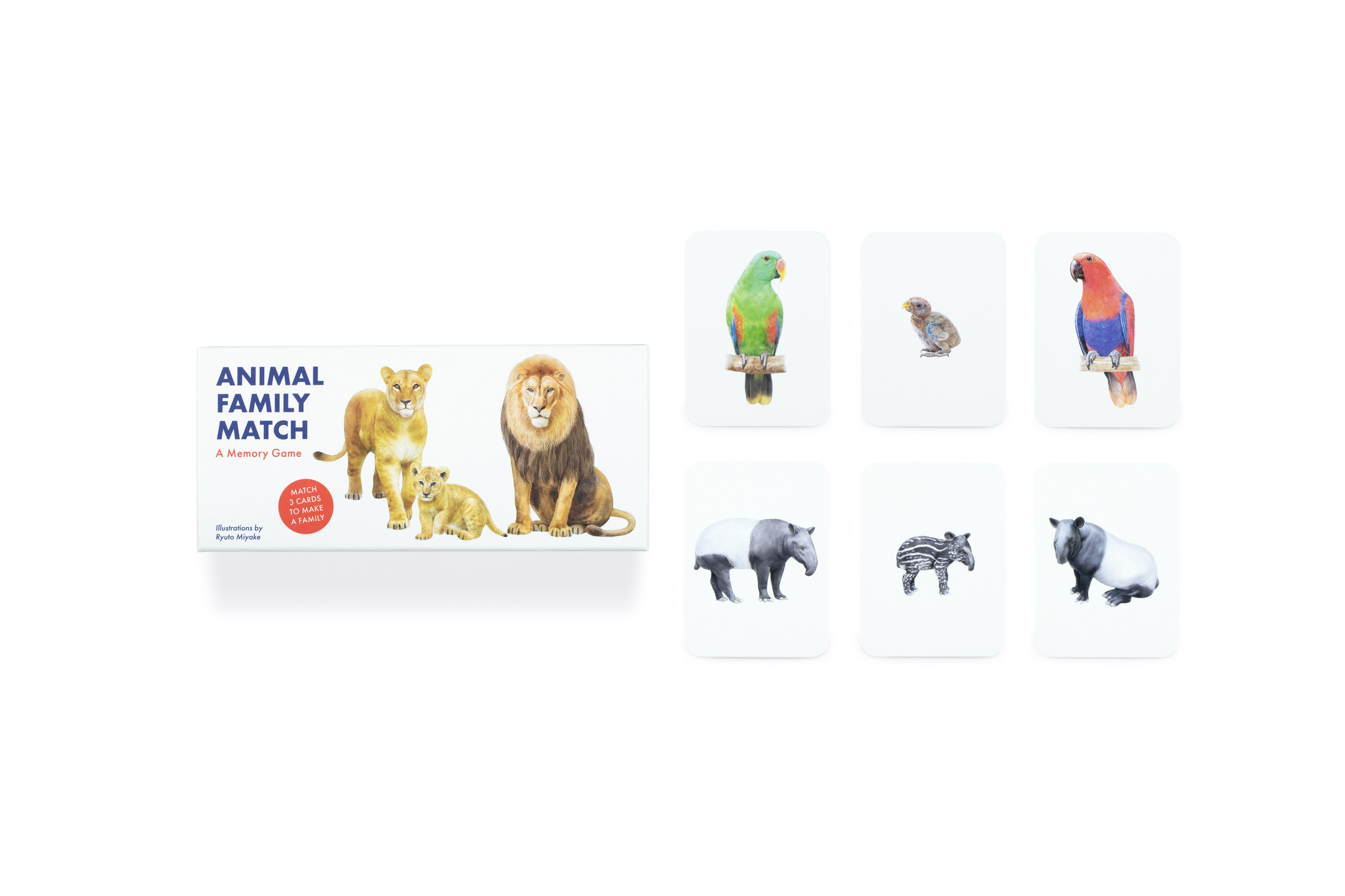 Animal Family Match - BIS Publishers