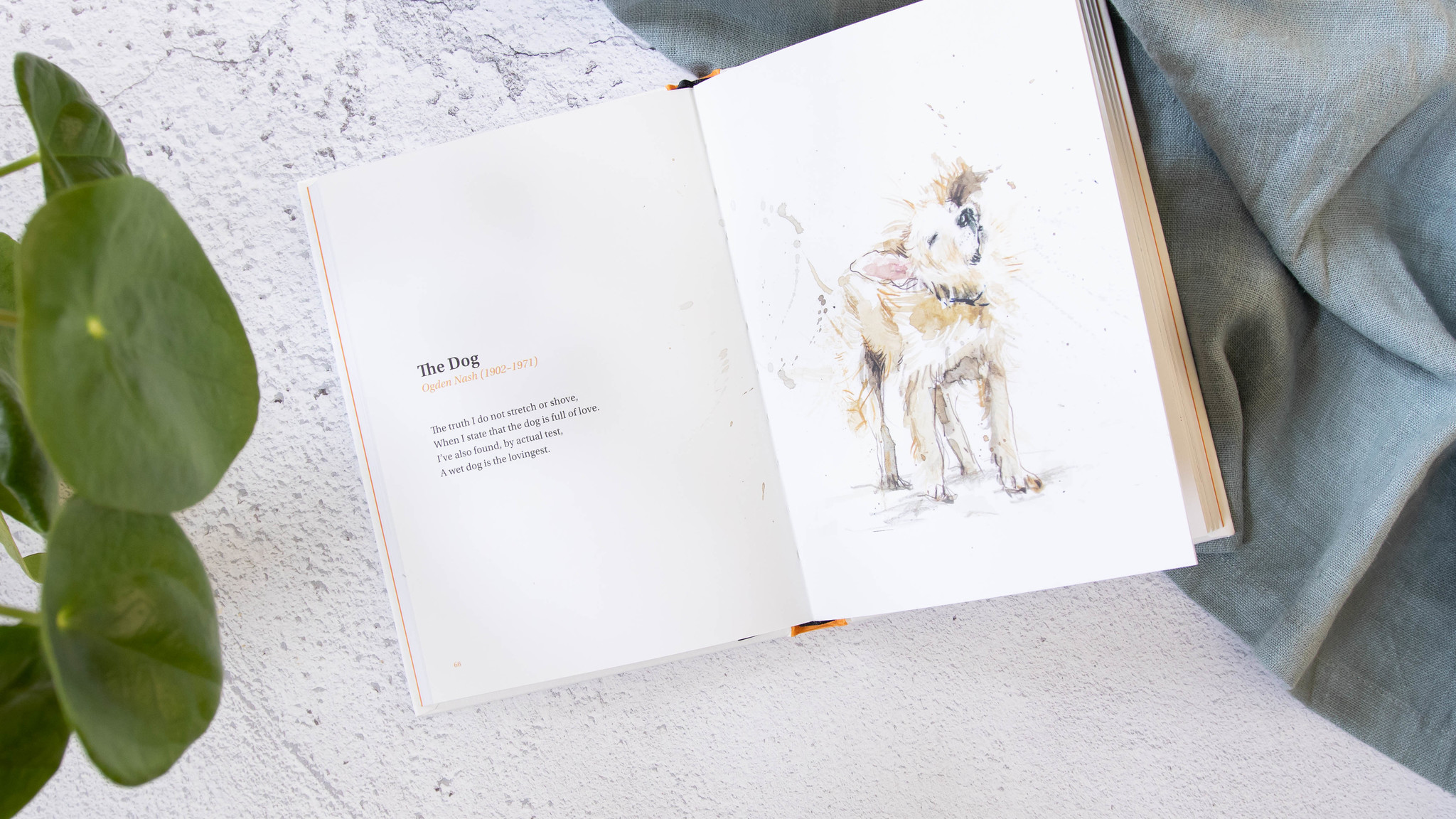 Laurence King Publishing | The Book of Dog Poems - BIS