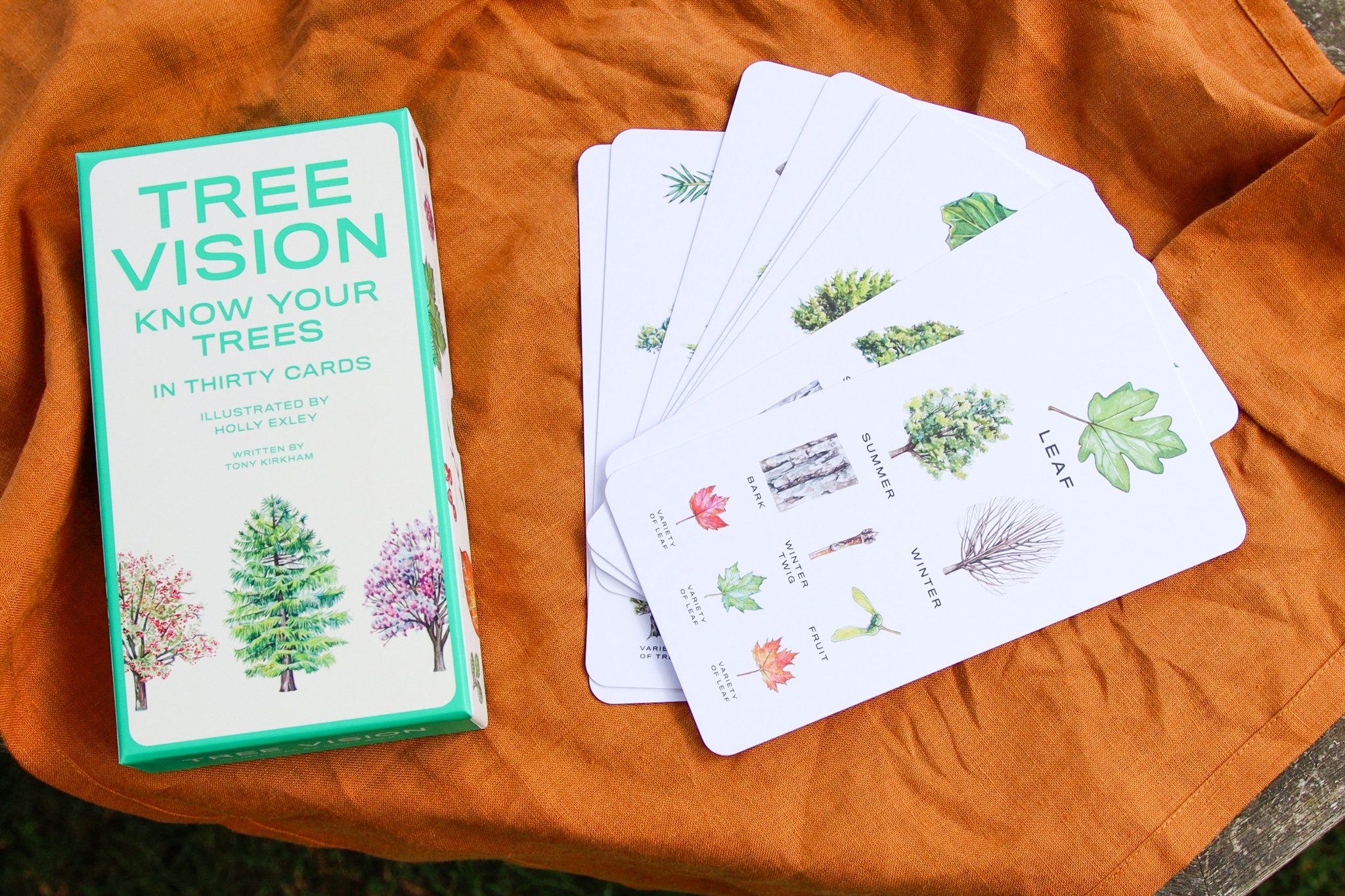 BIS Publishers | Tree Vision - BIS Publishers