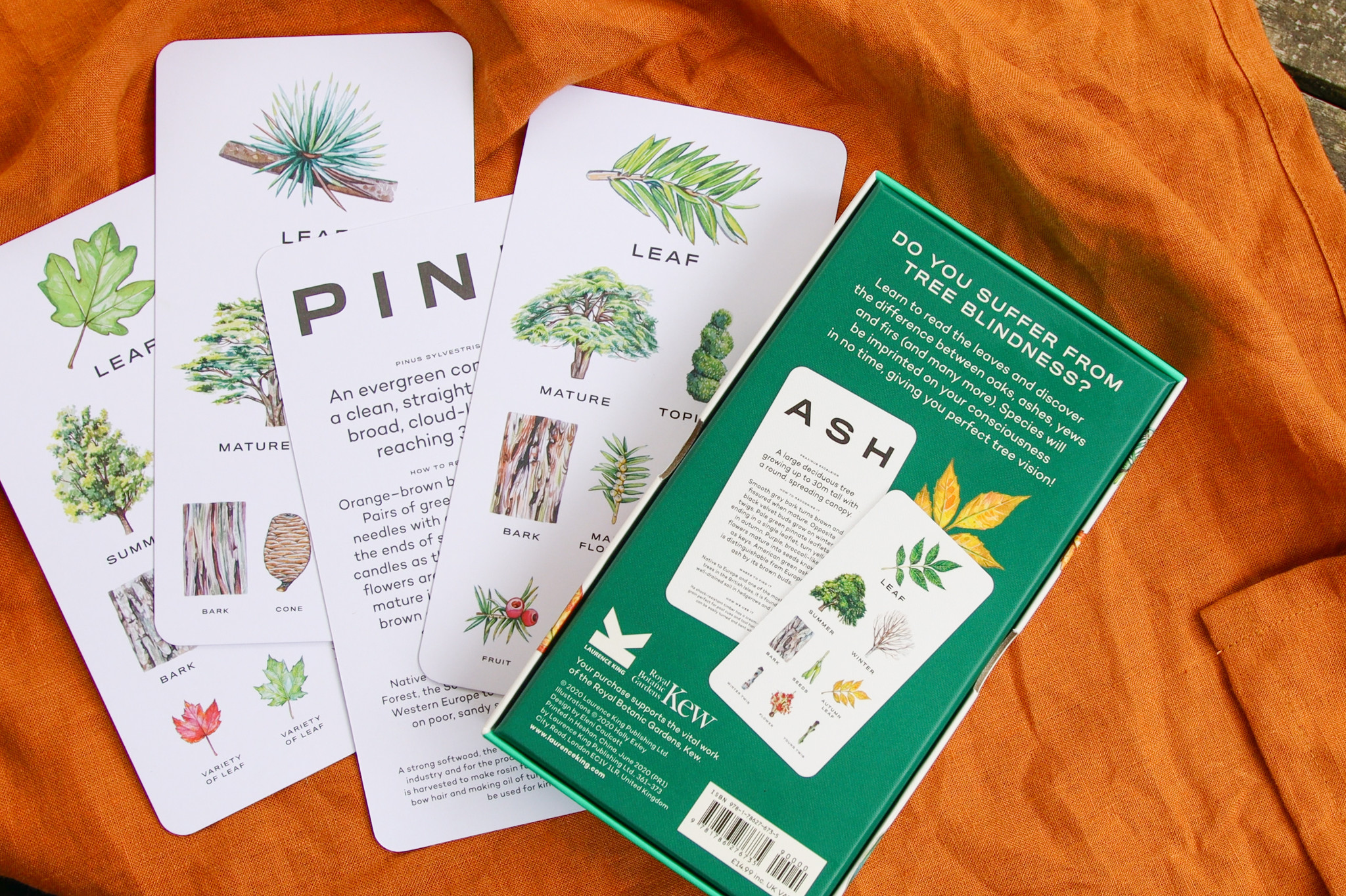 BIS Publishers | Tree Vision - BIS Publishers