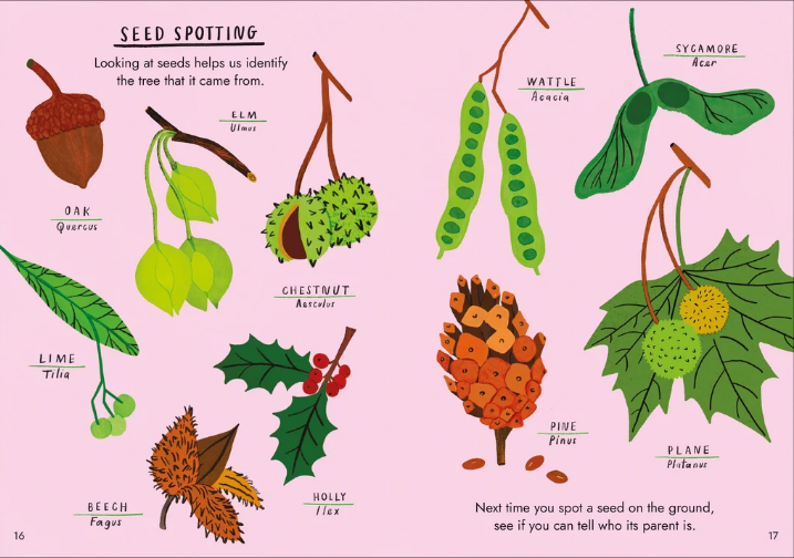 Hello Trees - BIS Publishers