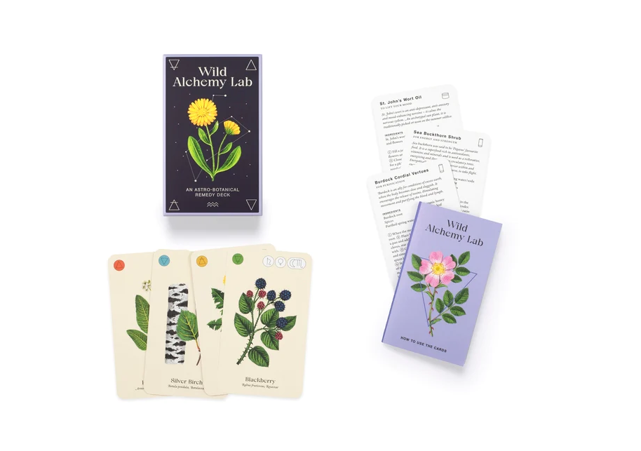 Wild Alchemy Lab - BIS Publishers