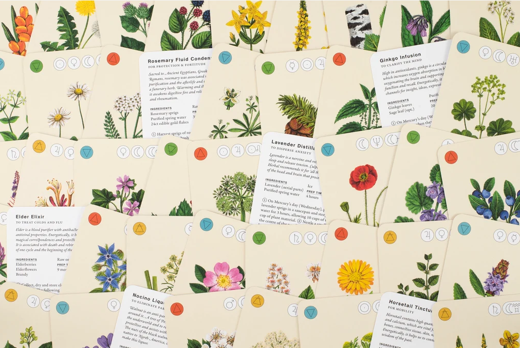 Wild Alchemy Lab - BIS Publishers