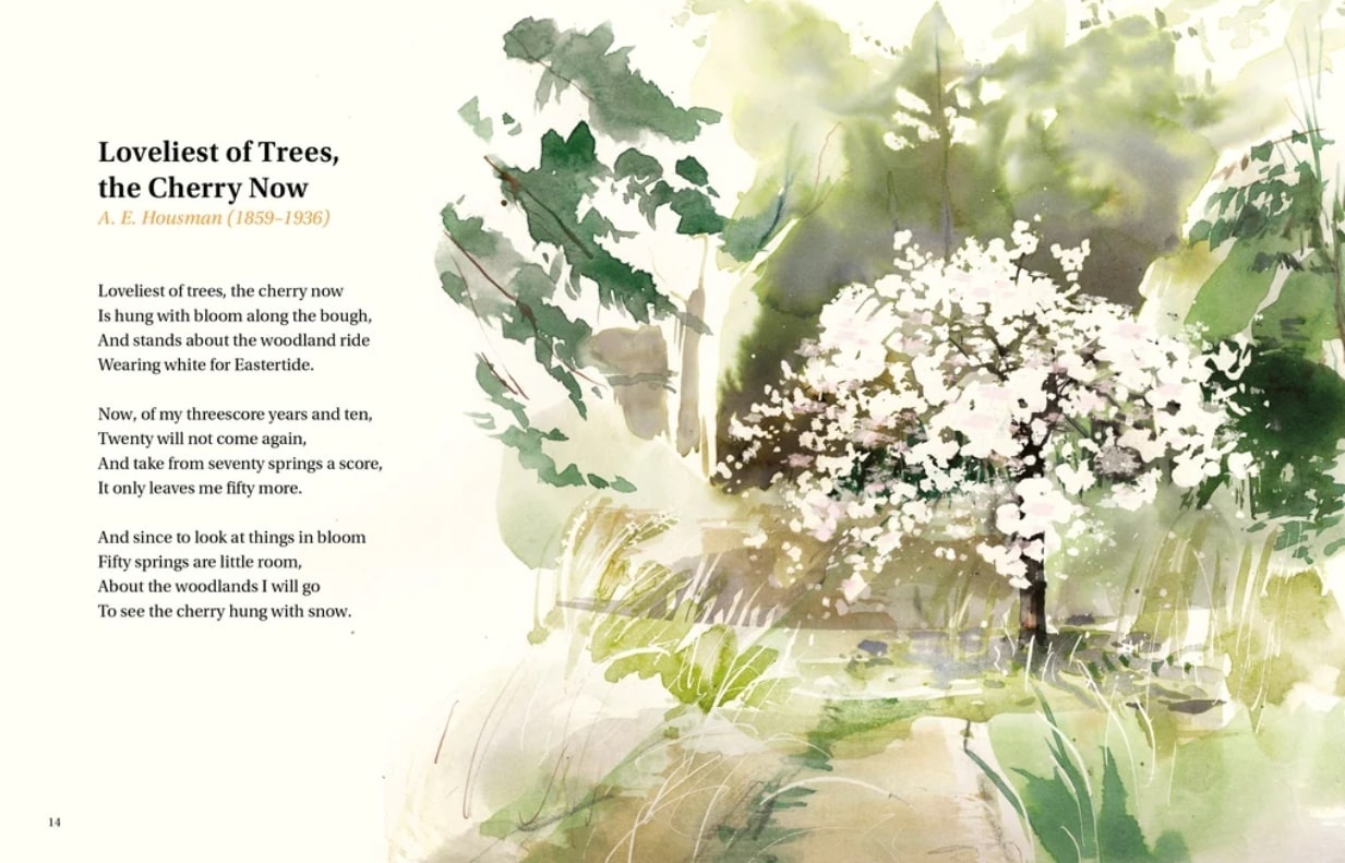 The Book of Tree Poems - BIS Publishers