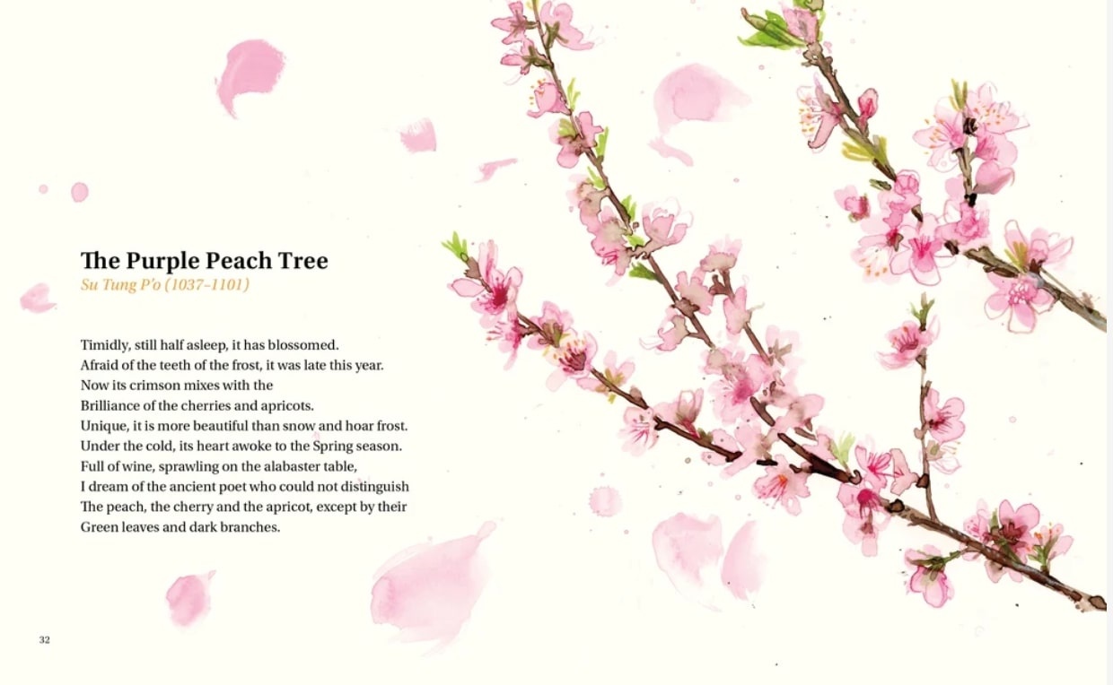 The Book of Tree Poems - BIS Publishers