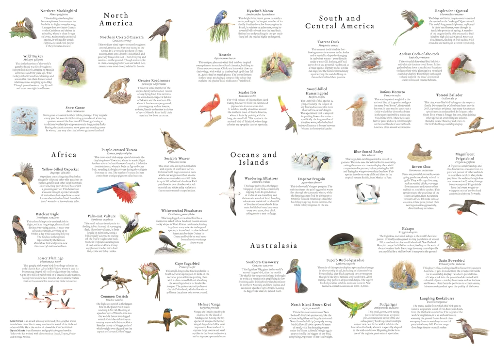 Around the World in 50 Birds - BIS Publishers