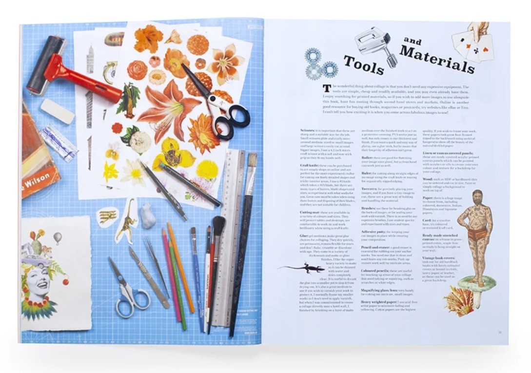 BIS Publishers | Extraordinary Things to Cut Out and Collage - BIS ...