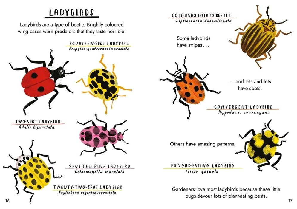 Little Guides to Nature: Hello Bugs - BIS Publishers