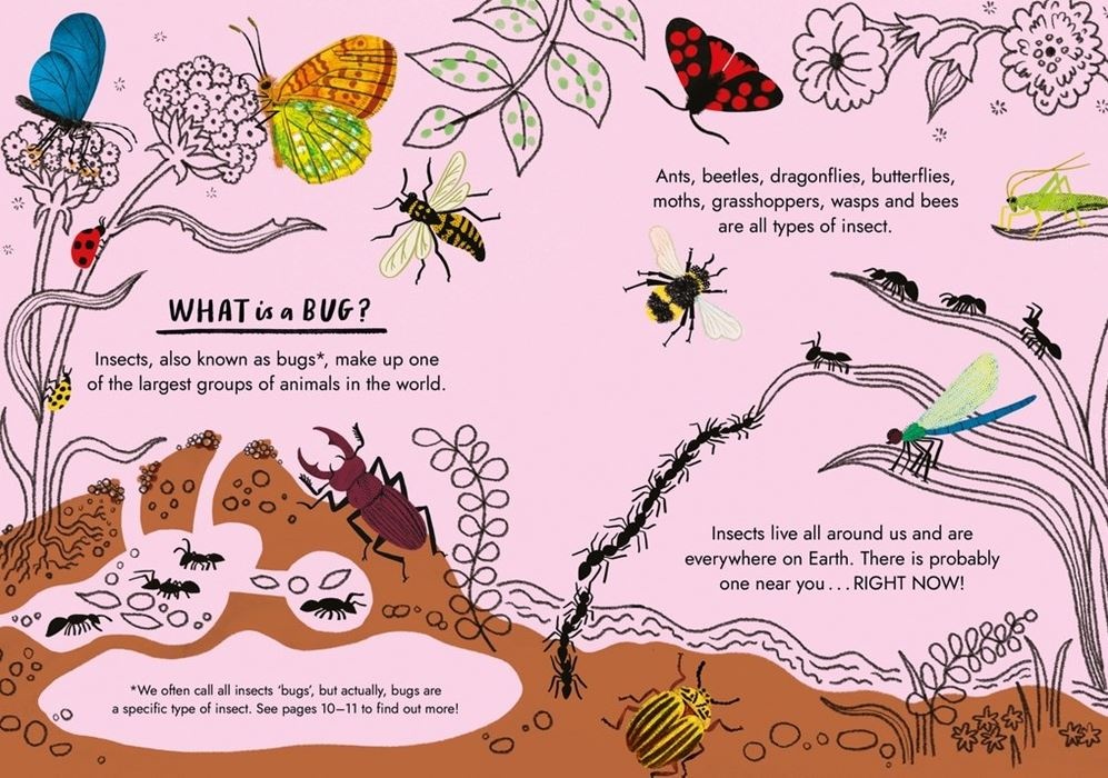 Little Guides to Nature: Hello Bugs - BIS Publishers