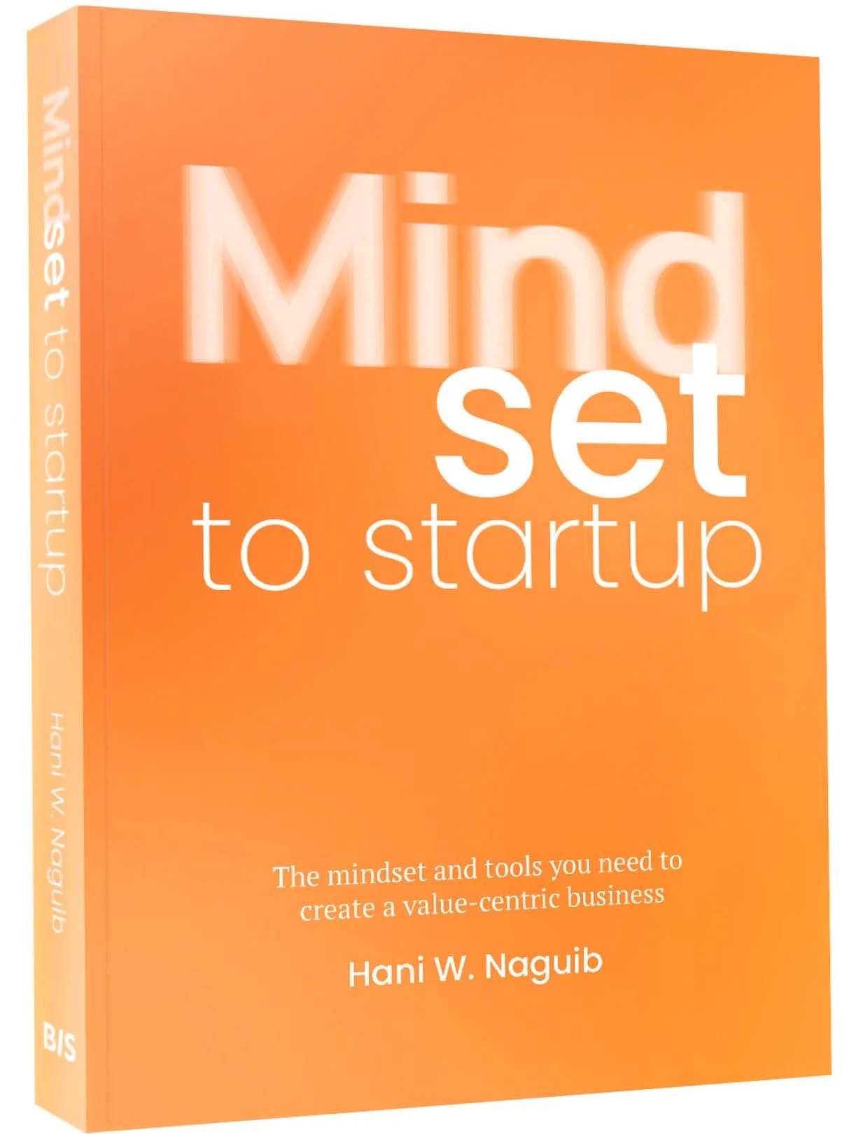 Mindset to Startup - BIS