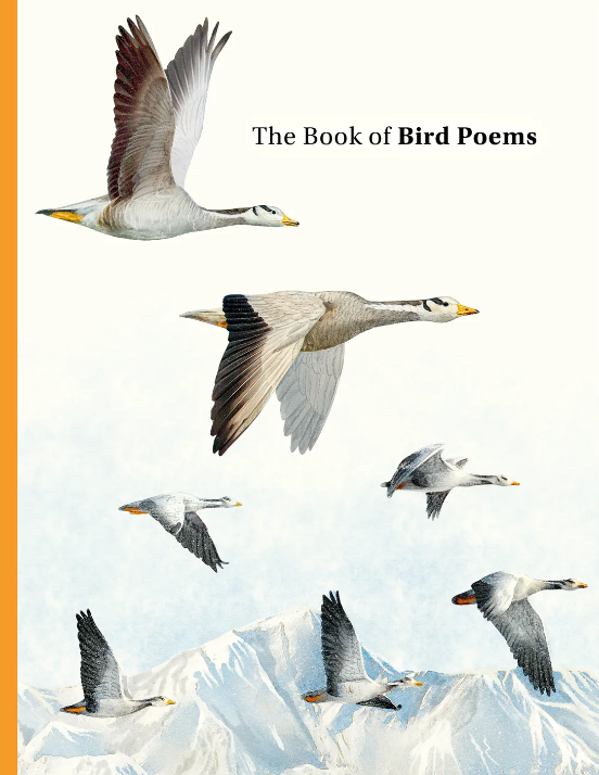 The Book of Bird Poems - BIS Publishers