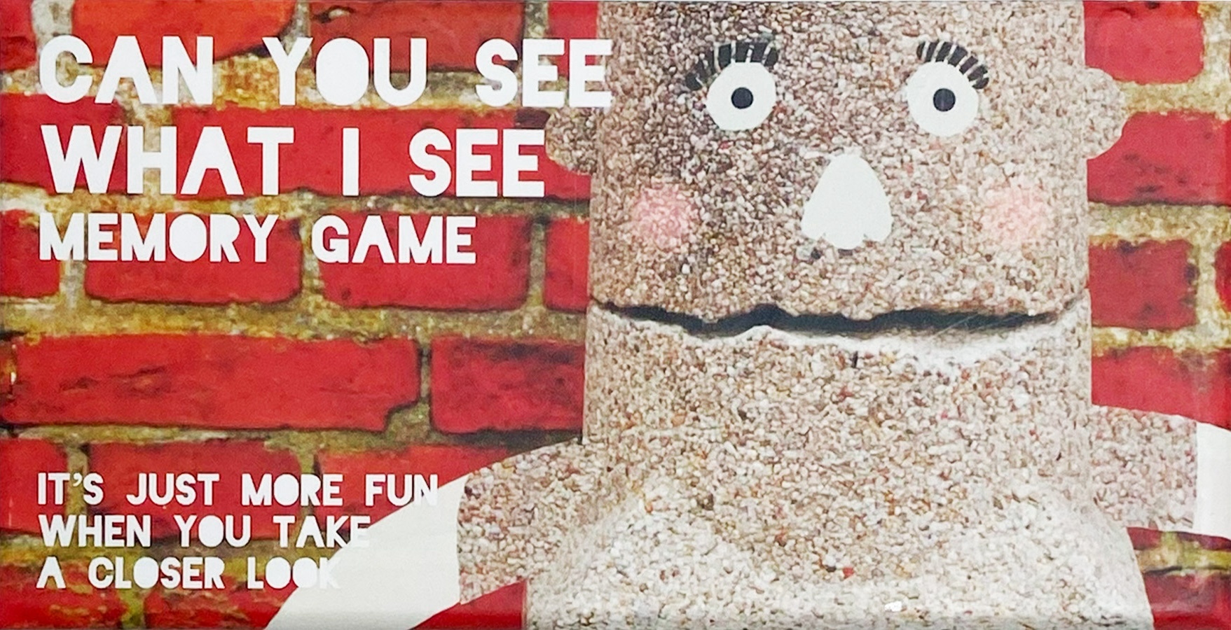 BIS Publishers | Can You See What I See Memory Game - BIS