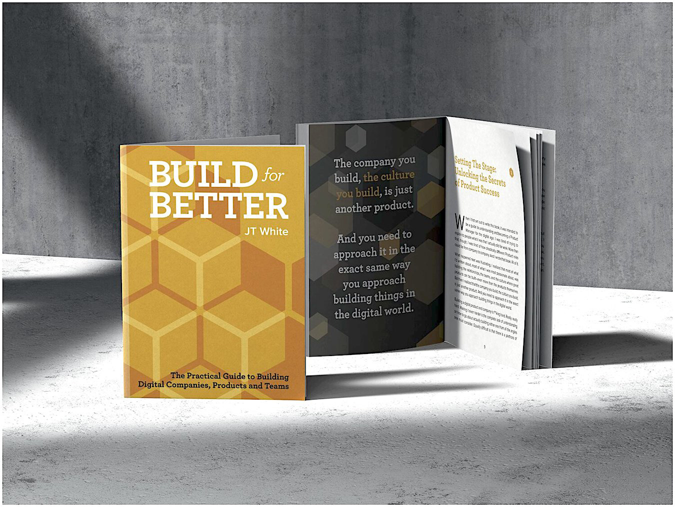 Build for Better - BIS