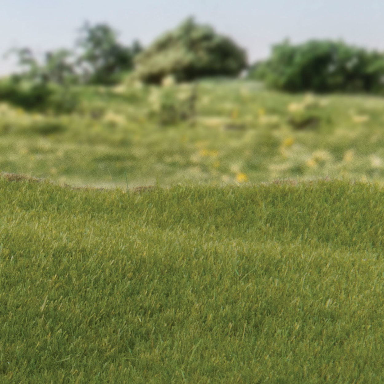 Woodland Scenics Static Grass Dark Green 2mm - 70gr - FS613 - Koop nu ...