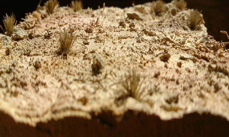 Vallejo Desert Sand Earth Texture Diorama FX - 200ml - 26217 - Scenery ...