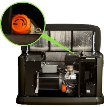 Pramac GA10000 Gas generator suitable for natural gas or propane (LPG ...