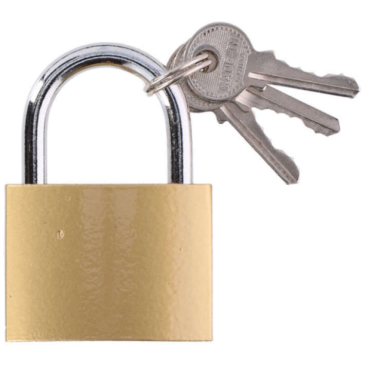 Padlock 50 mm + 3 keys - Joostshop