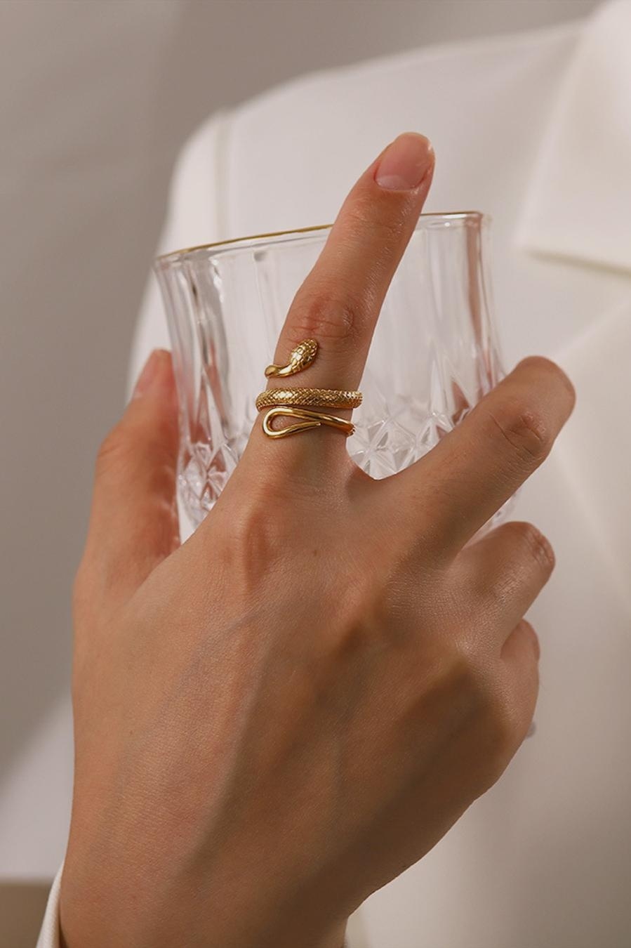 Stainless Steel Ring met Slangen Model - Uwantisell.nl