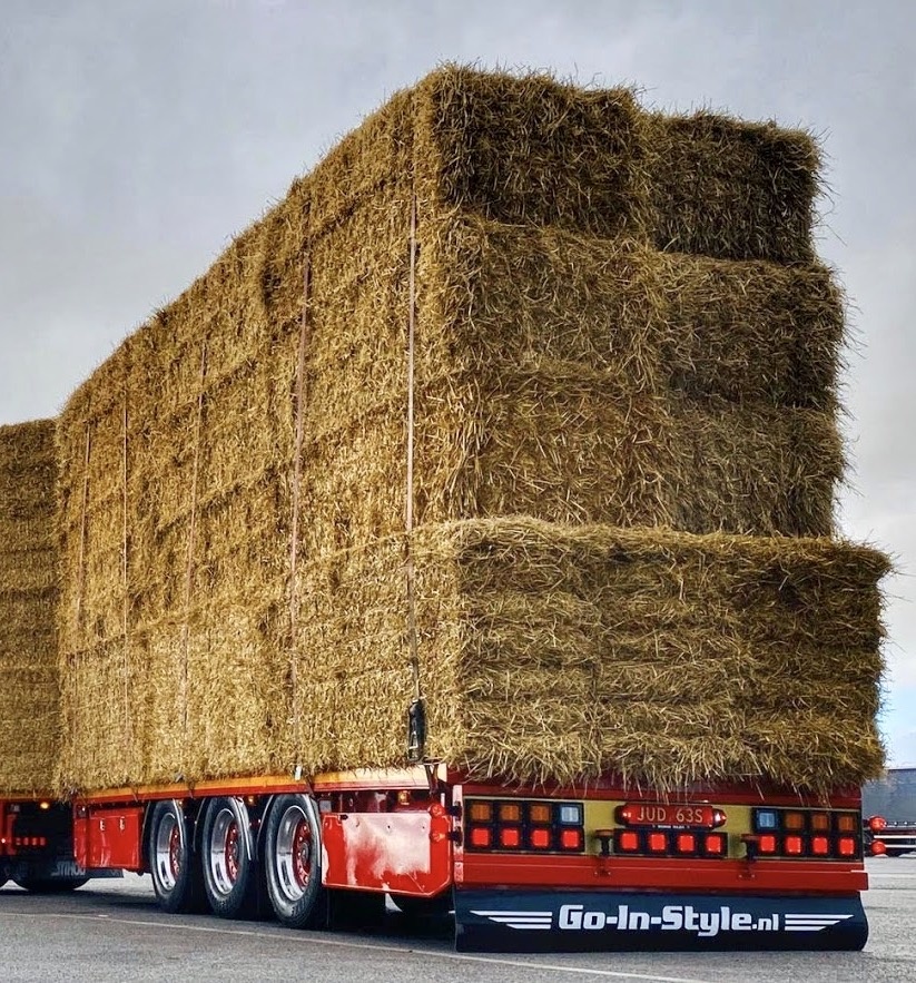 Strands Izeled dobbelt gummihus til 2 firkantede lys - Go-in-Style.nl