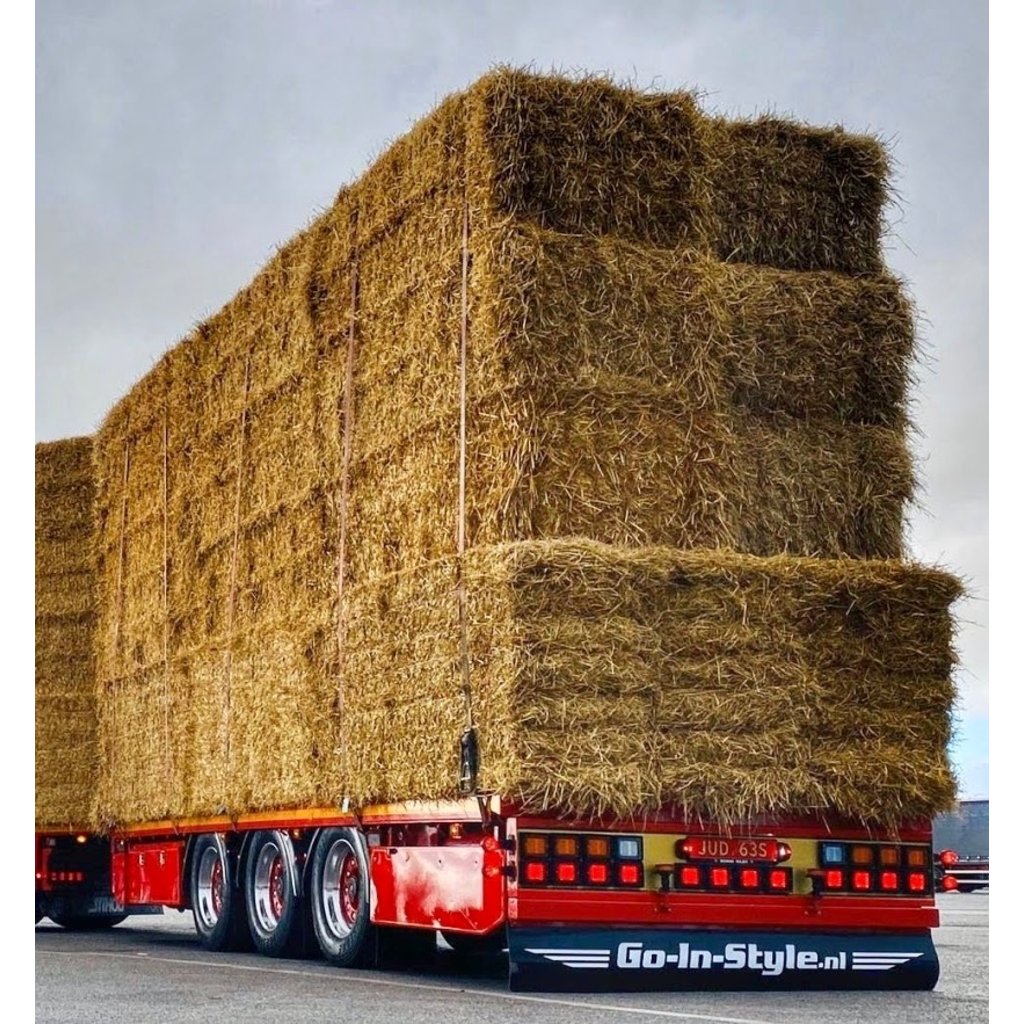 Chlapacz GIS 248x35cm - Go-in-Style.nl