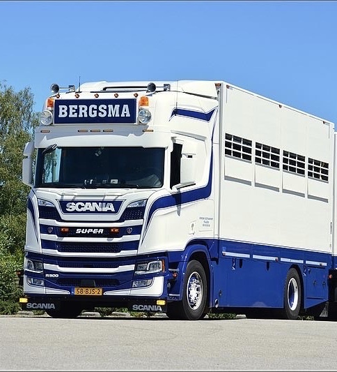 Hadley Air Horns in different sizes - Go-in-Style.nl