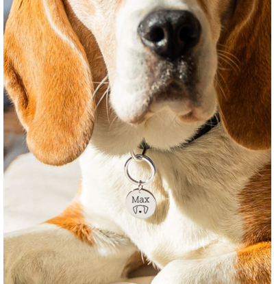 Hondenpenning met naam en telefoonnummer? Dé grootste collectie online ...