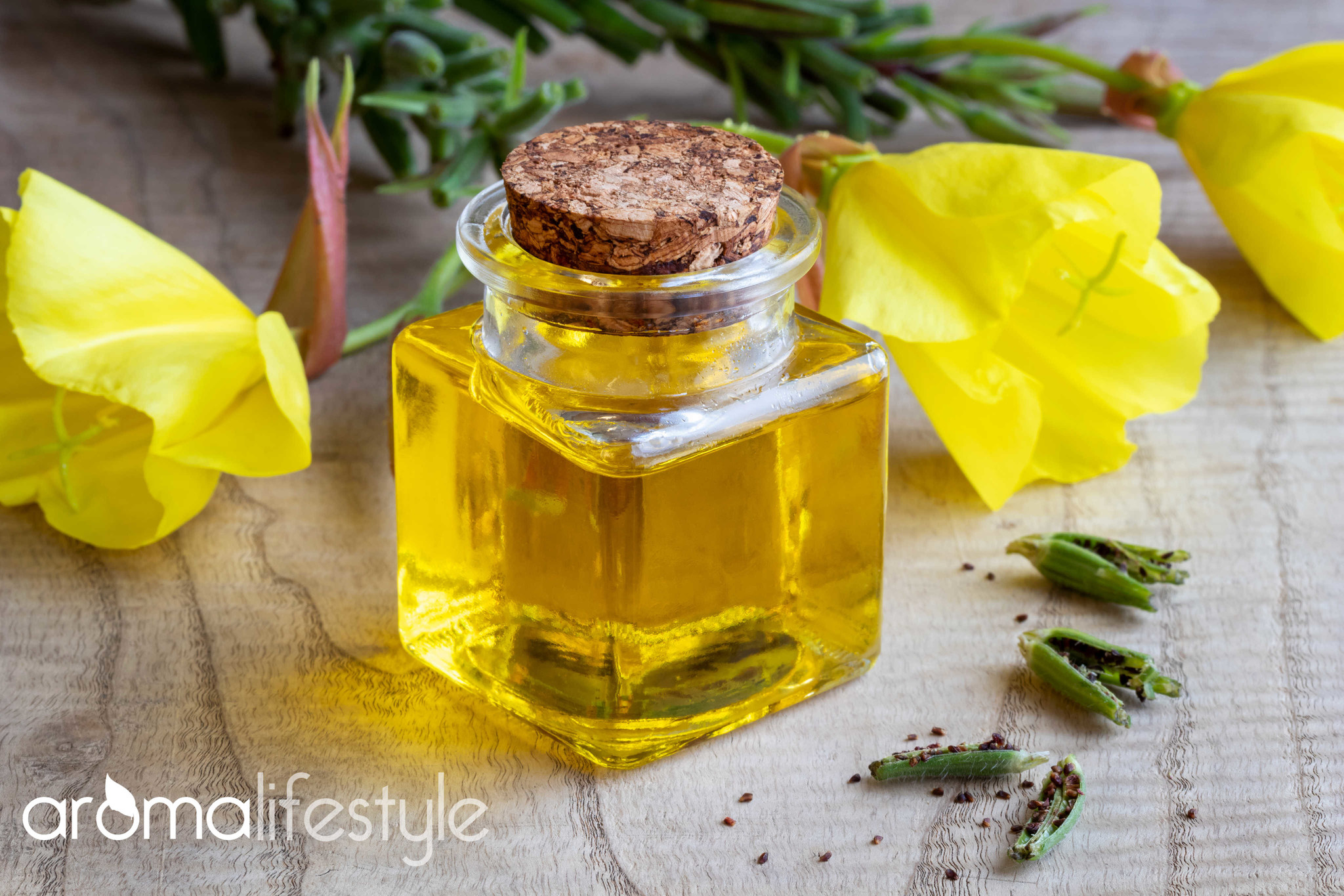Teunisbloemolie - BIO (Nachtkerzenol) 100 ml. - Aromalifestyle Teunisbloemolie - BIO (Nachtkerzenol) 100 ml. - Aromalifestyle
