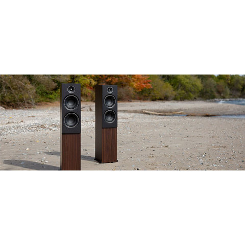 PSB ALPHA T20 Lautsprecher | pure audio