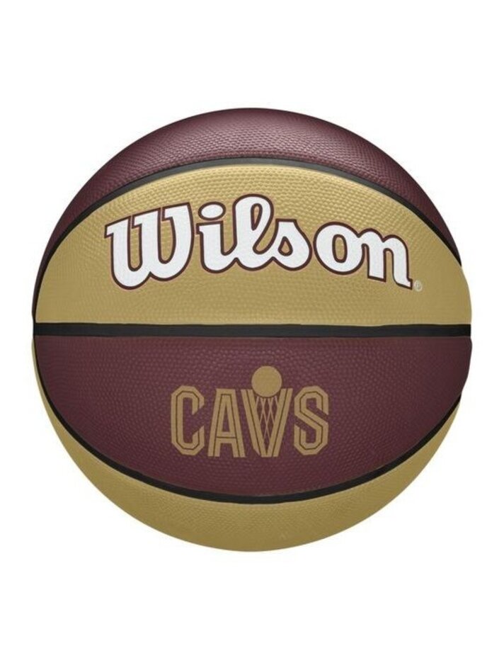 Wilson - House of Basketball