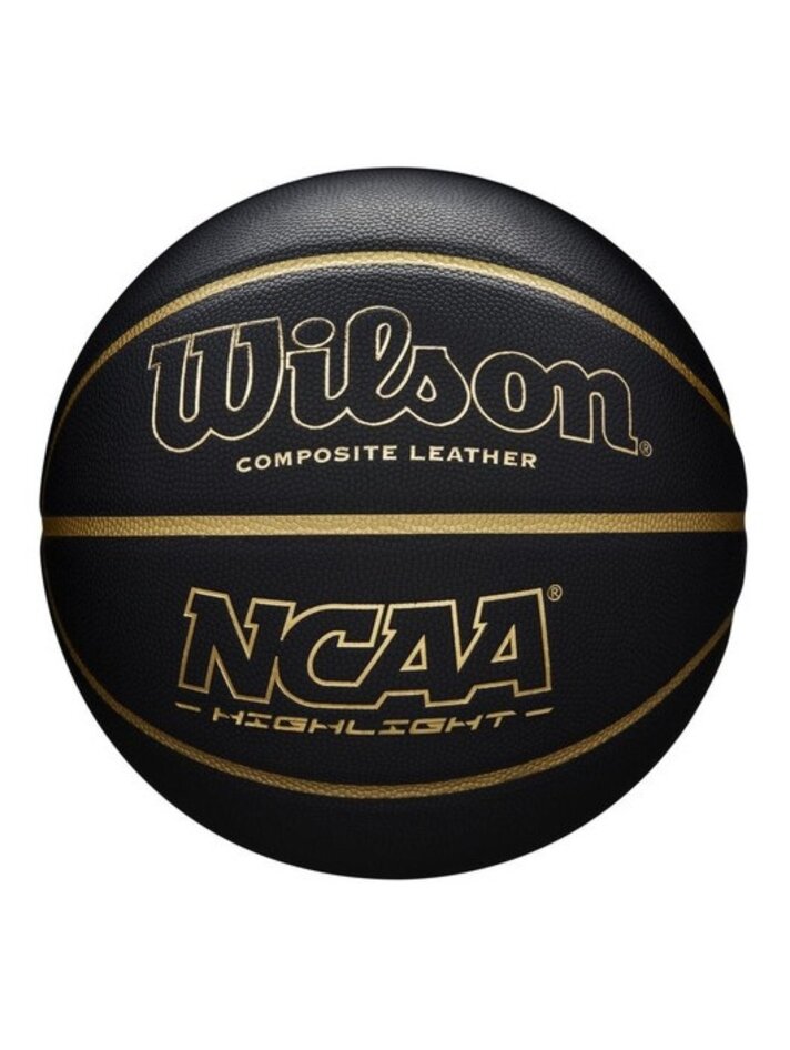 Wilson - House of Basketball