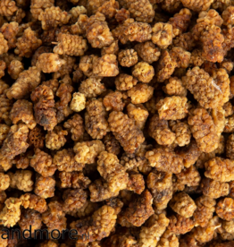 Bessen kopen | Gezond en voordelig | Nutsandmore - Nutsandmore