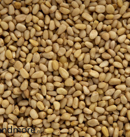 Pijnboompitten kopen | Nutsandmore - Nutsandmore