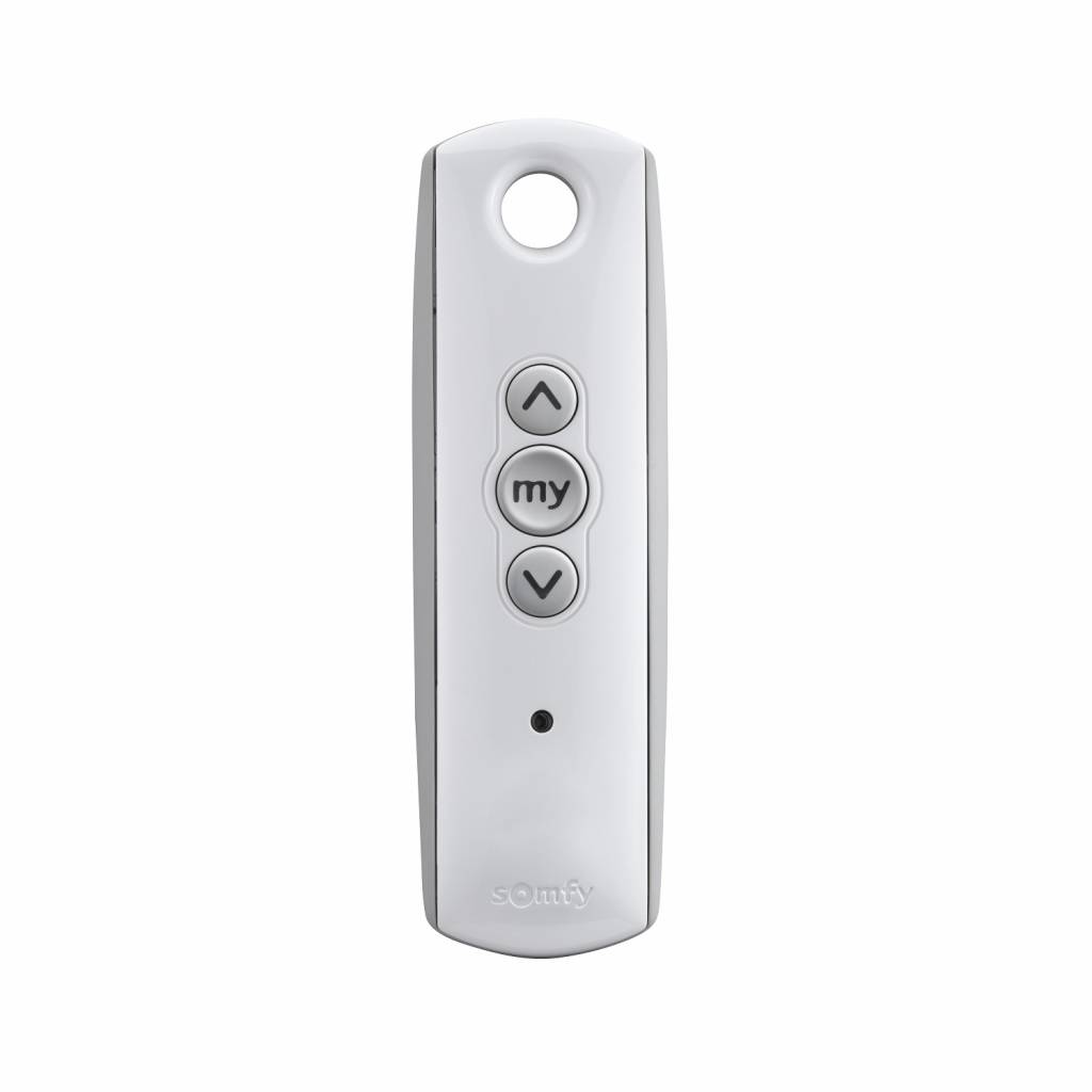 Telis 1 RTS remote control, Pure, Silver, Patio and Lounge ...