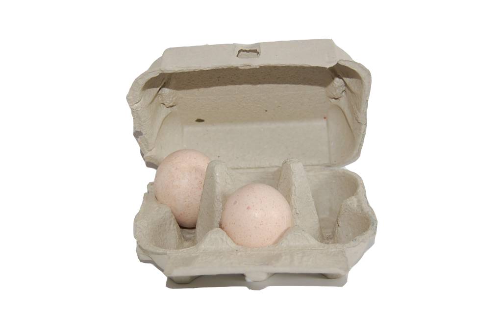 Jumbo Eierdozen voor 6 eieren - Junai.nl