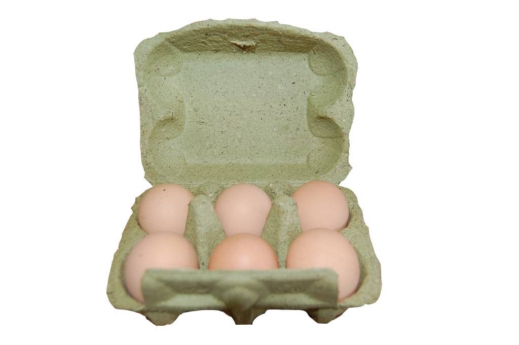 Eierdoos gemaakt van gras - Junai.nl