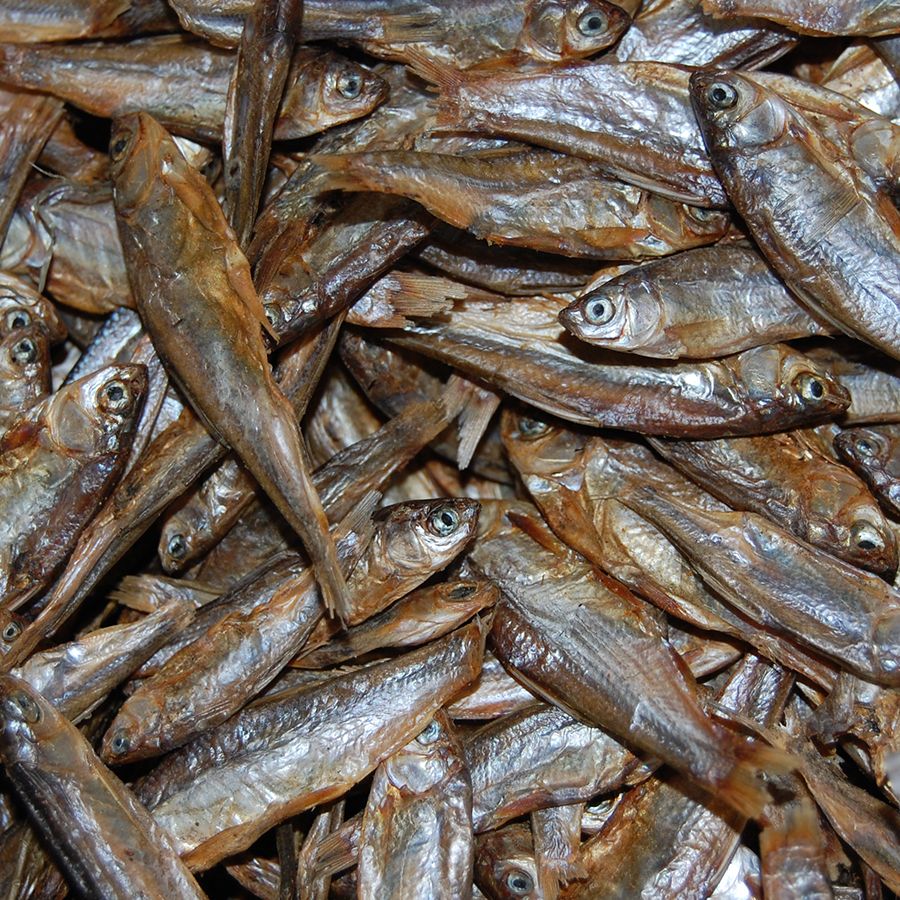 Gedroogde visjes 4 tot 7 cm - Junai.nl